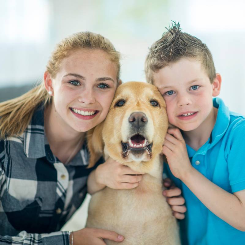 Veterinary Appointment In Boston, MA | Boston Animal Hospital Southampton
